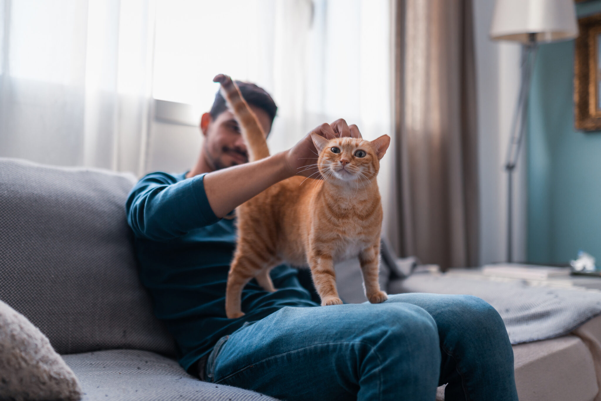 14 ways to communicate with your pets using astrology - MediaFeed